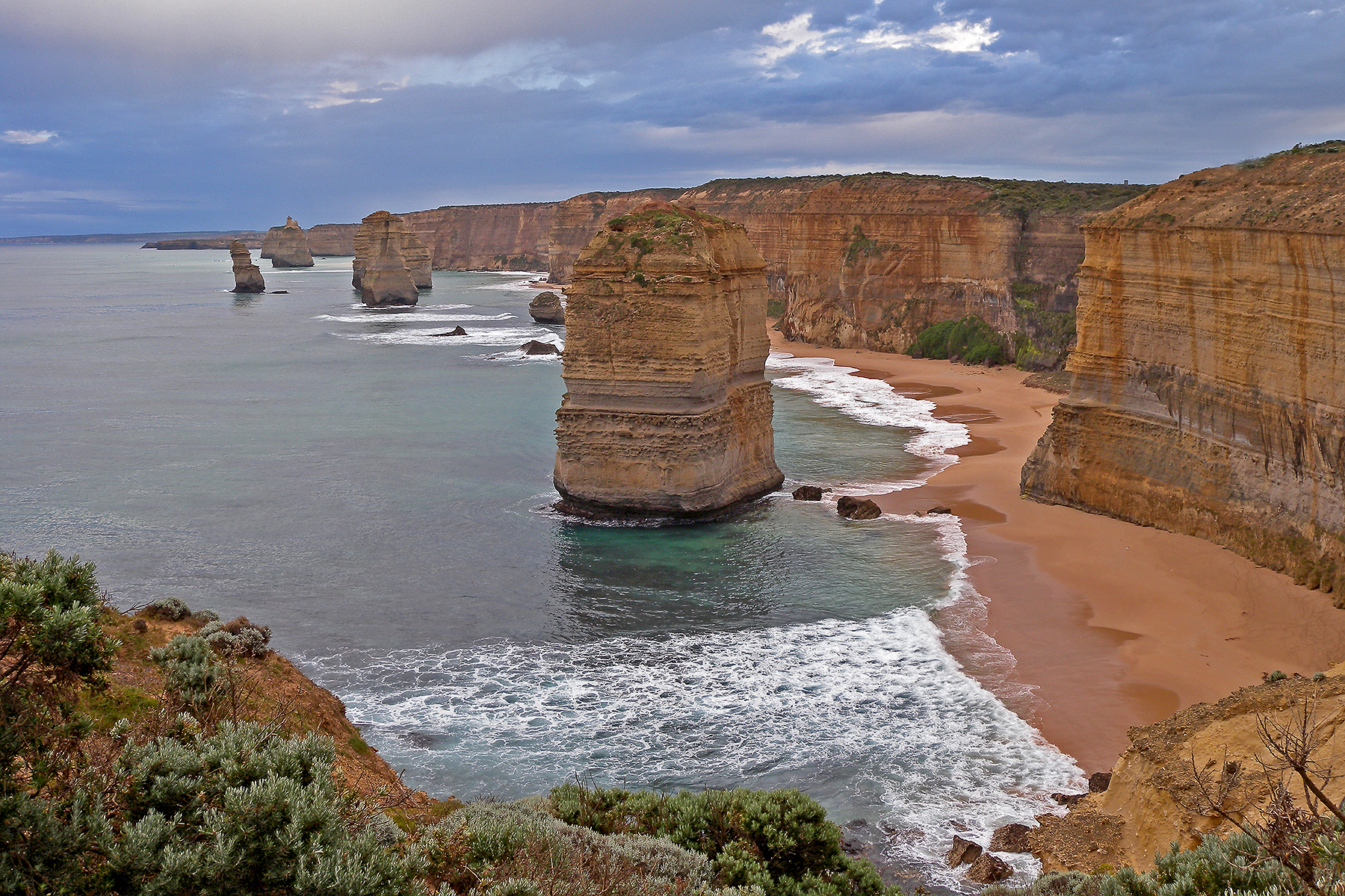 Southern Australia Birding Tours - Tasmania - Birdquest